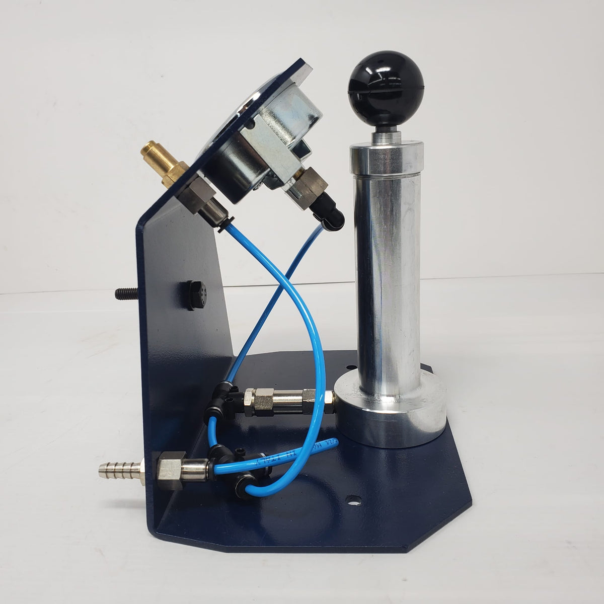 Professional Carb Control Check Pump - Blue | Italian Motors USA LLC