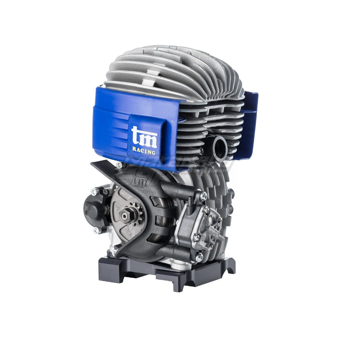 TM 60cc Mini 2 Used engine kit | Italian Motors USA LLC