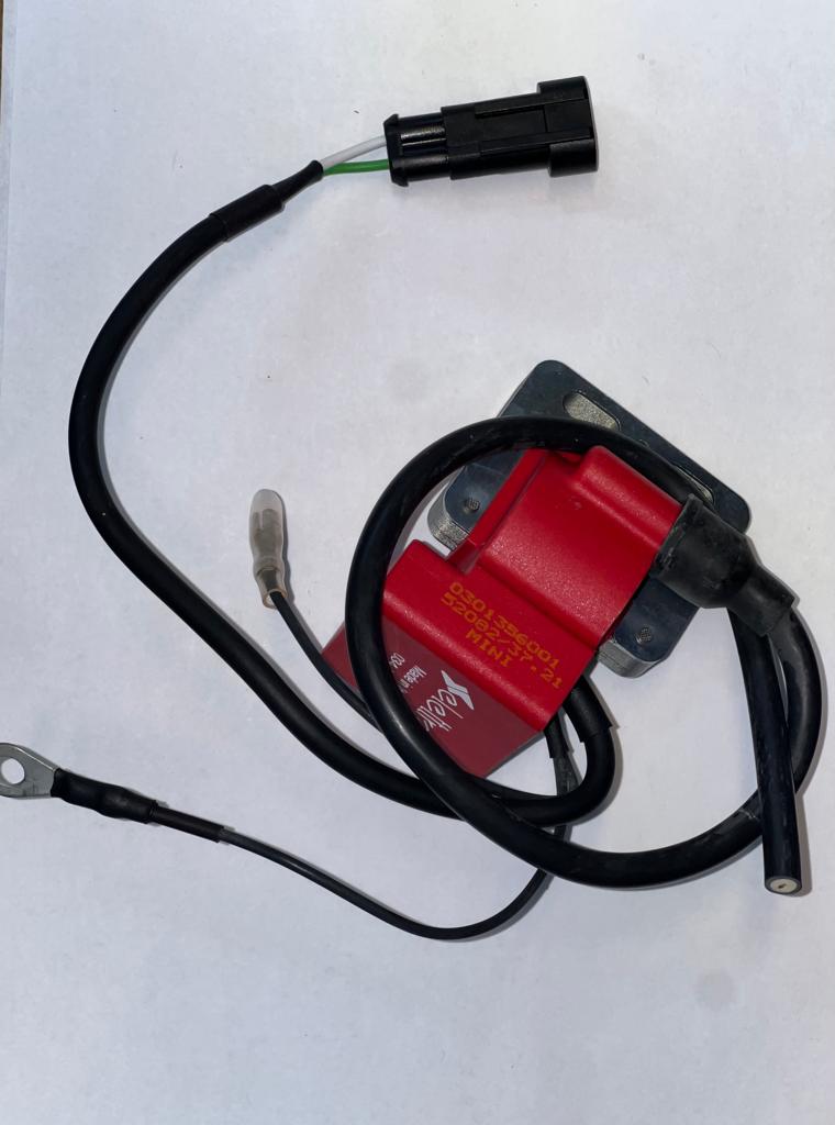 TM ECU+COIL Selettra MINI2 | Italian Motors USA LLC